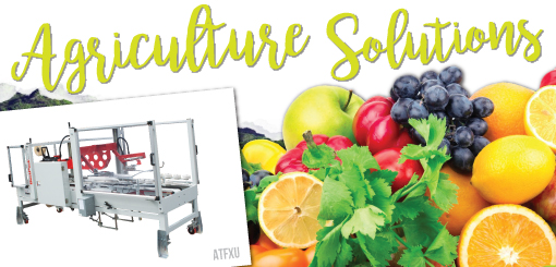 Packaging Solutions | BestPack